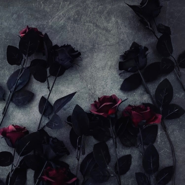 Rap Fame | Black Roses